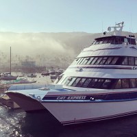 Meet the Fleet | Catalina Express