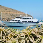 Catalina Photo/Video Gallery