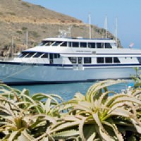 Meet the Fleet | Catalina Express