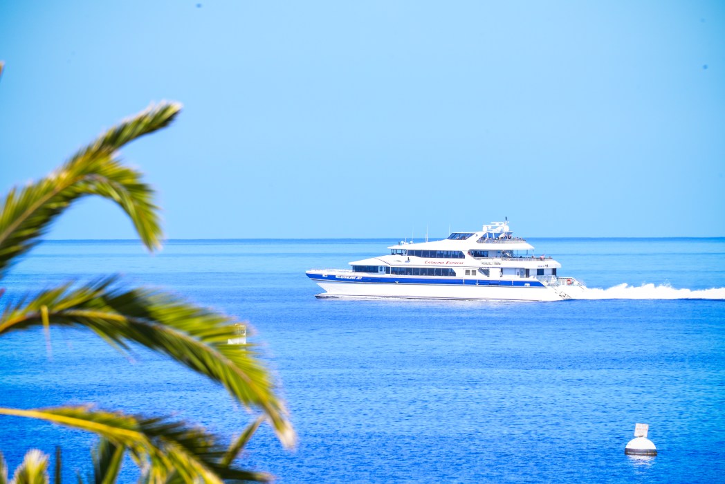 Our Story | Catalina Express