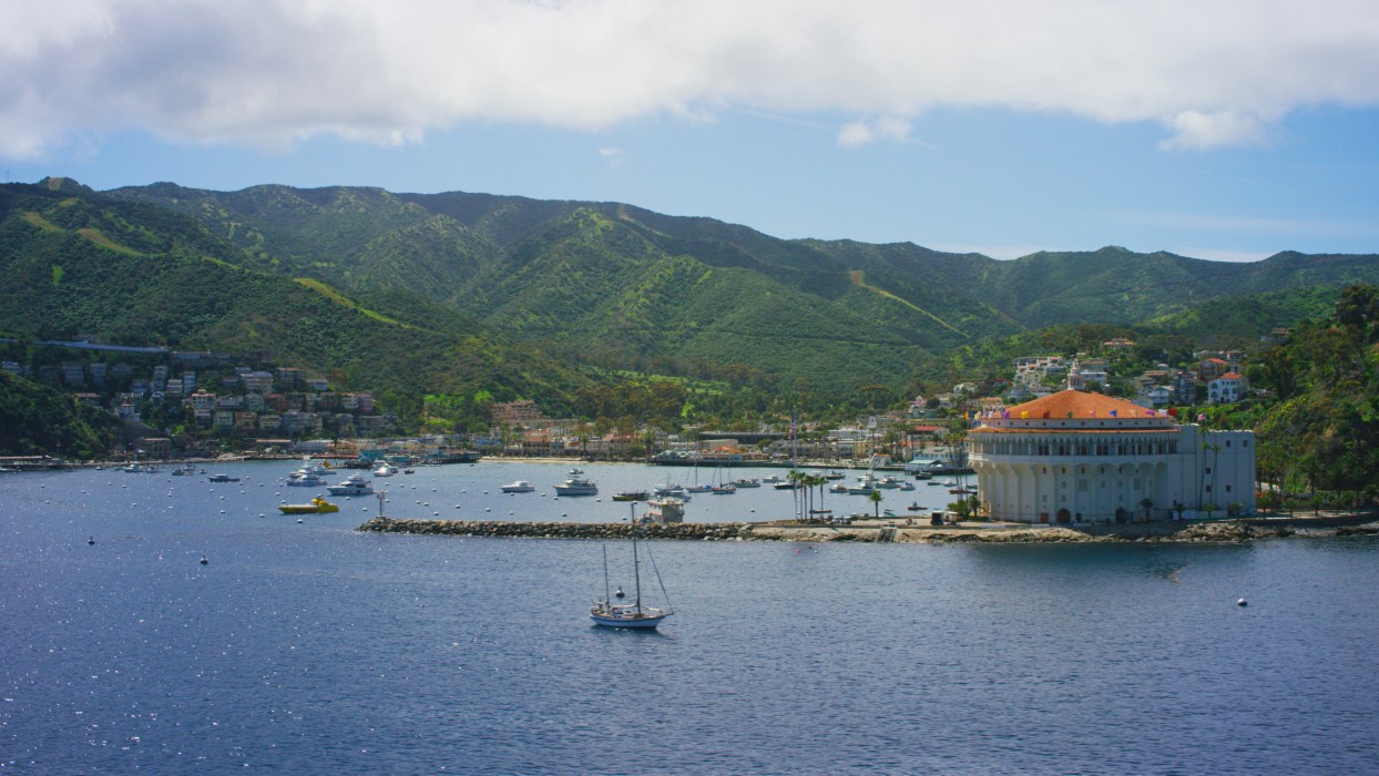 Things to do on Catalina Island | Catalina Express